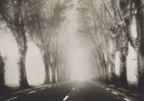 Emmanuelle Bousquet : Sous une pierre amante - L'Œil de la Photographie ...