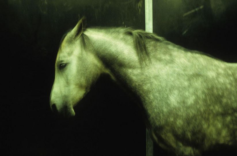 5 Grand-Place : Steve McCurry : Icons - L'Œil de la Photographie Magazine