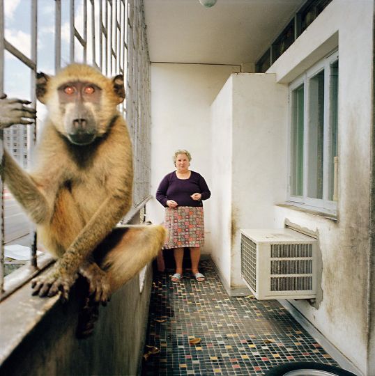 Happy Holidays ! Jonk