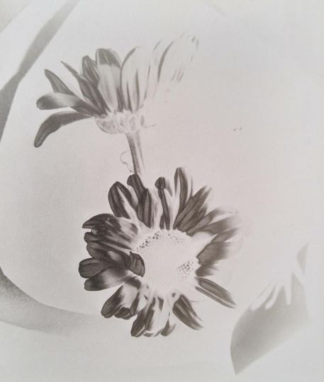 PDNB Gallery : Ida Lansky