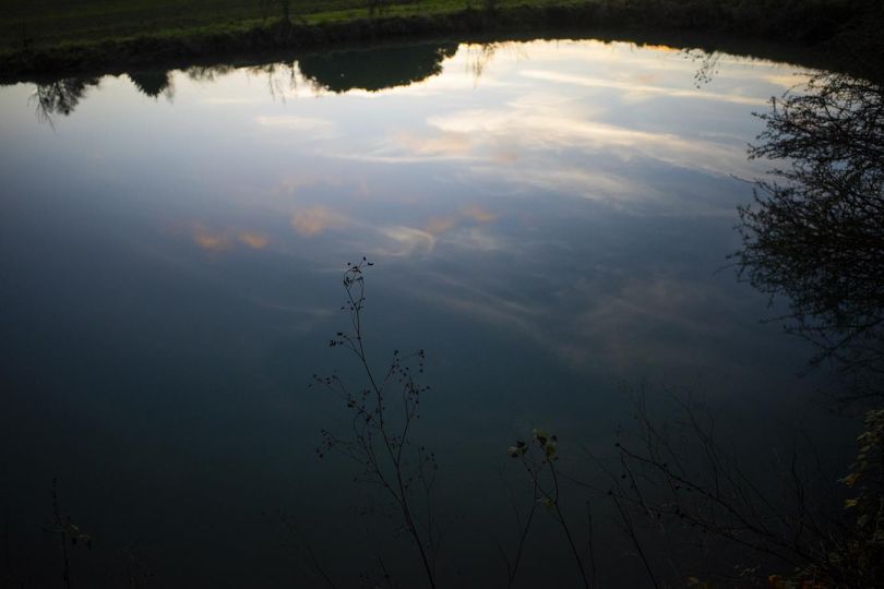 TOBE Gallery : JF Julian : FIREFLY volume 0002