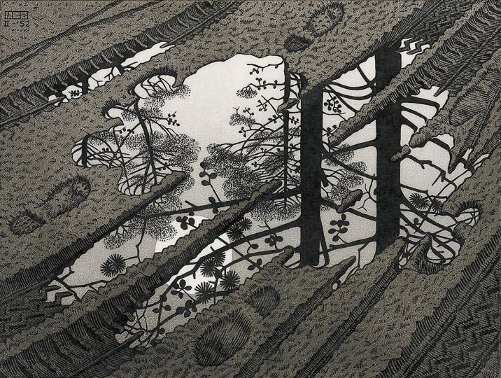 Bruce Silverstein Gallery : André Kertész & M. C. Escher : Between ...