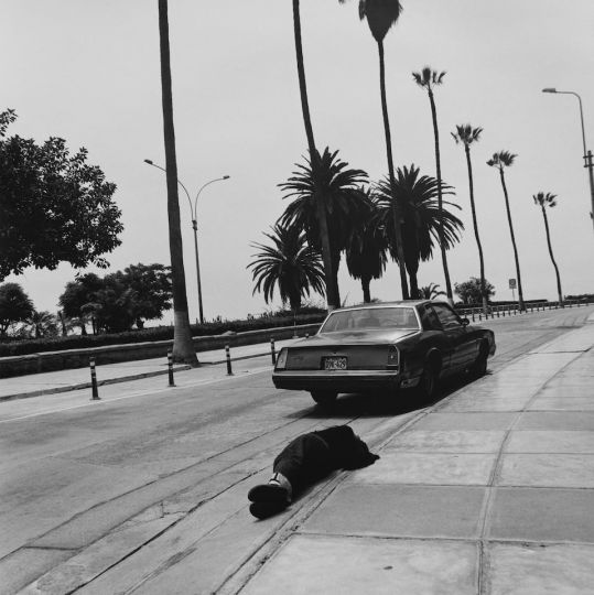 Saint Lucy Books : Mark Alice Durant : Collection of Patrick Pound ...