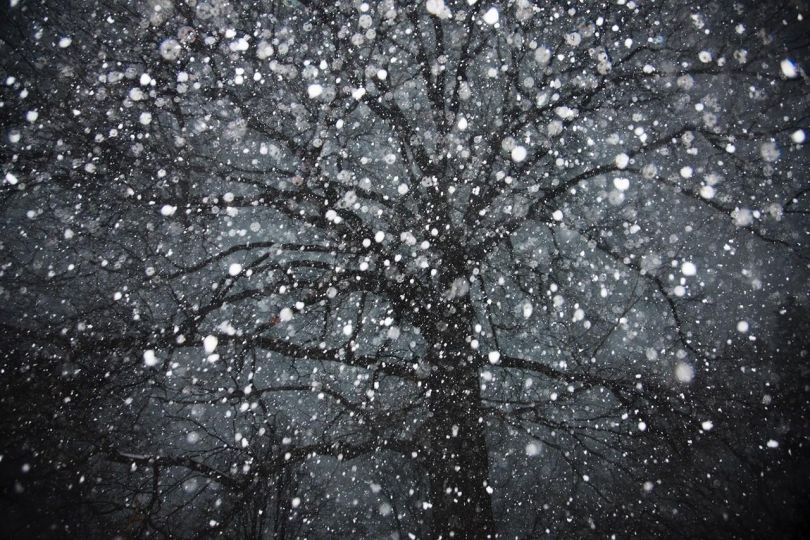 Robert Mann Gallery : Elijah Gowin : Spirit and Shadow